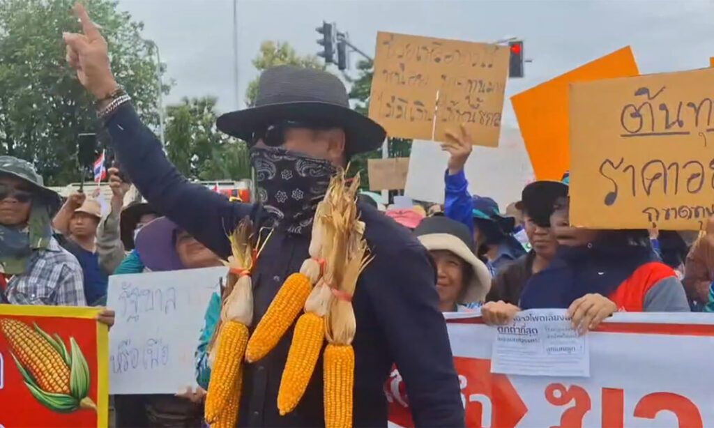 កសិករថៃ ធ្វើបាតុកម្មបិទផ្លូវដោយសារតម្លៃពោតធ្លាក់ចុះ