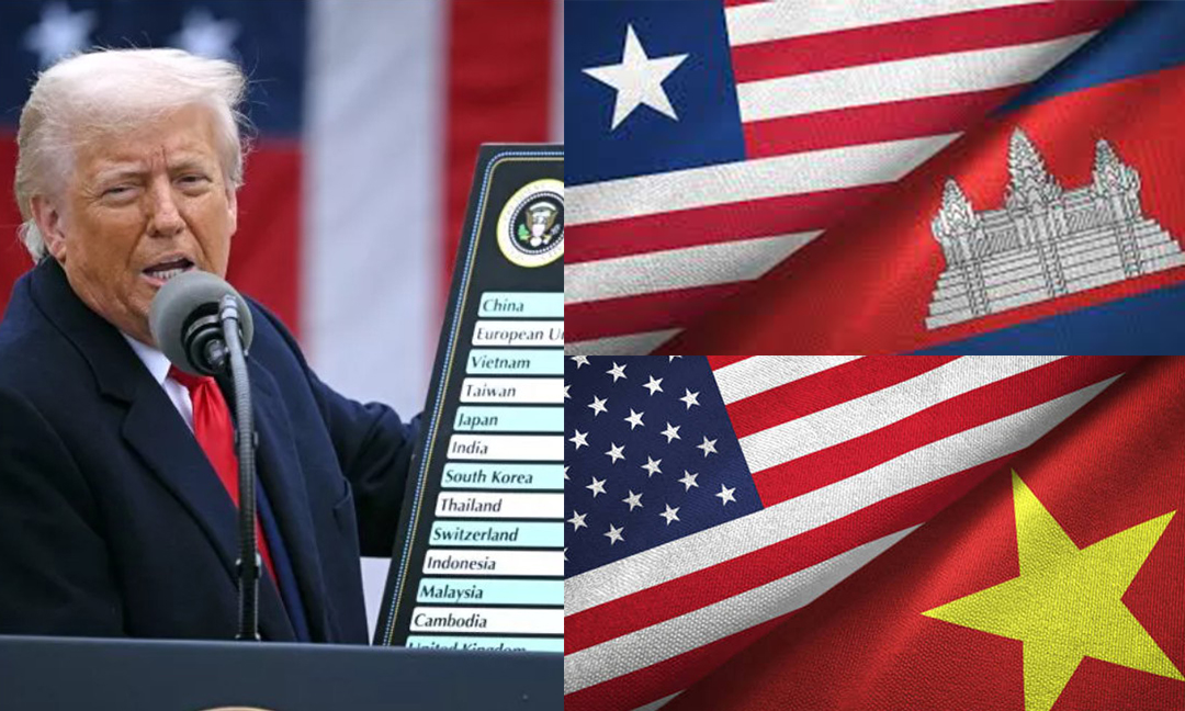 ចានស្អាតៗប្រភេទនេះ អ្នកជំនាញថាវាផ្ទុកសារធាតិគីមី និងពុលច្រើនណាស់